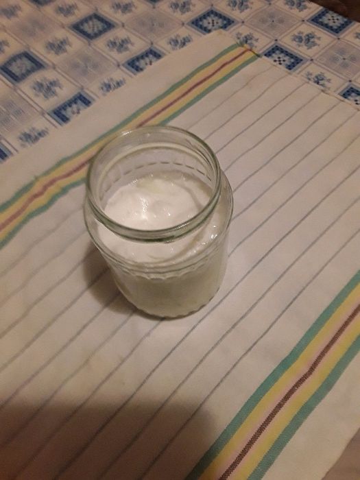 ciuperca kefir de vanzare ' Anunturi ' OLX.ro