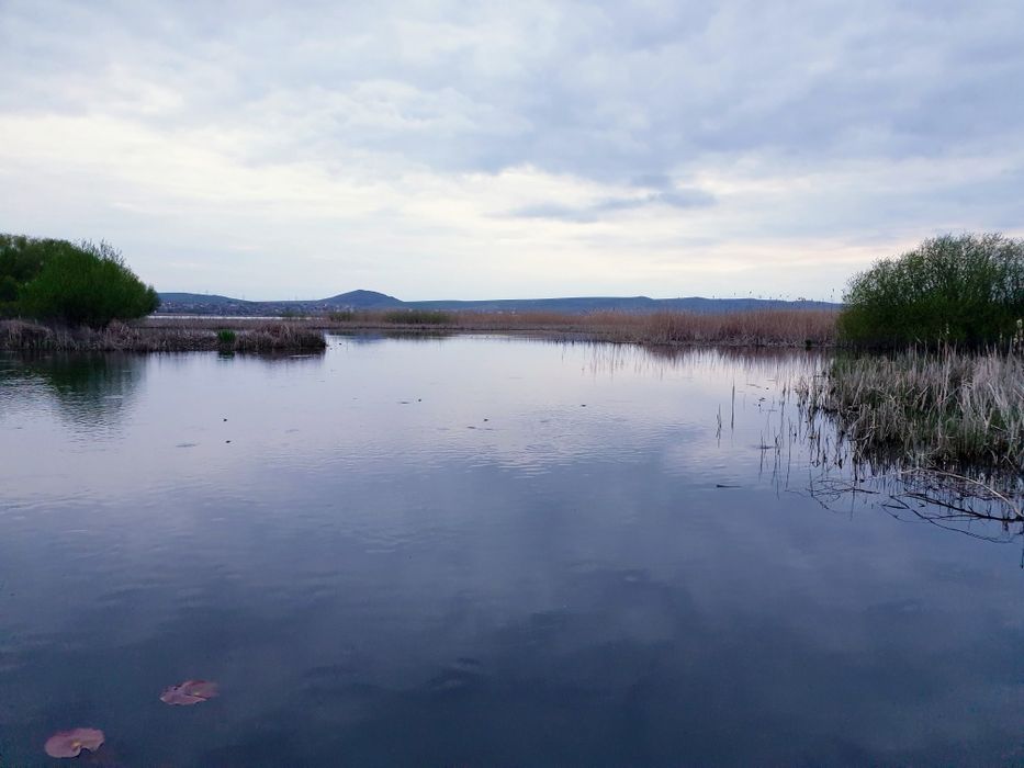 Teren zona 9 mai, lac Câșla, mun. Tulcea Tulcea • OLX.ro