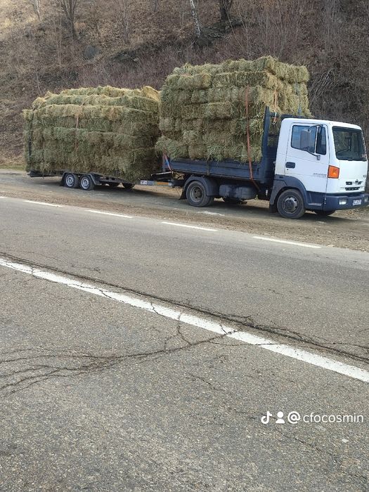 Baloți de fan fan Costieni • OLX.ro