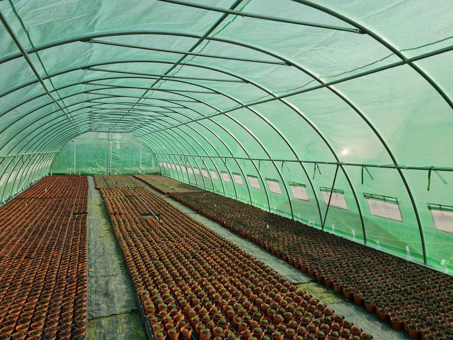 SOLAR/SERA/ -FOLIE de schimb polietilena armata -marimi 2x2-8x20- ab ...