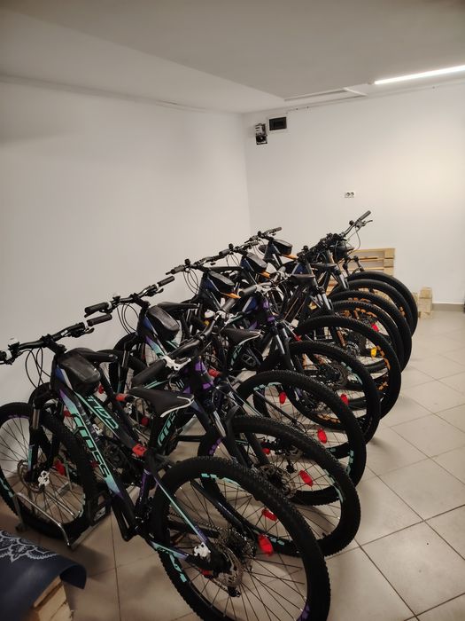 Vând afacere la cheie Valea Doftanei • OLX.ro