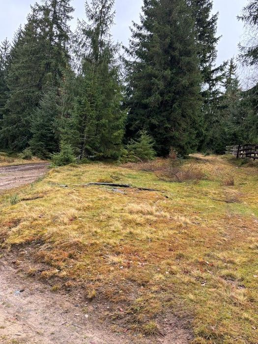 Vând Teren 1400 Mp aproape de Pârtie schi 600-700 m Marisel • OLX.ro