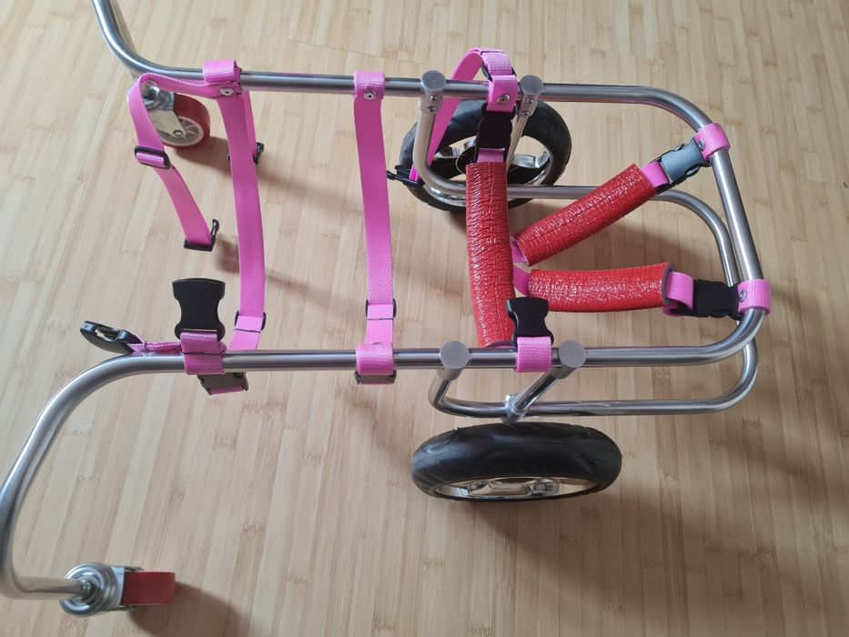 Carut pentru caini paralizati Drumul Carului • OLX.ro