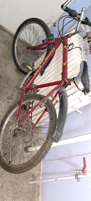 Vand bicicleta buna Timisoara • OLX.ro