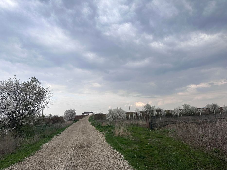 Teren intravilan Livada de Bihor 1166 mp Livada de Bihor • OLX.ro