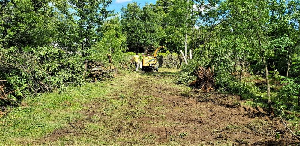 Defrisare cosire si curatare teren de iarba arbusti ambrozie Bucuresti ...