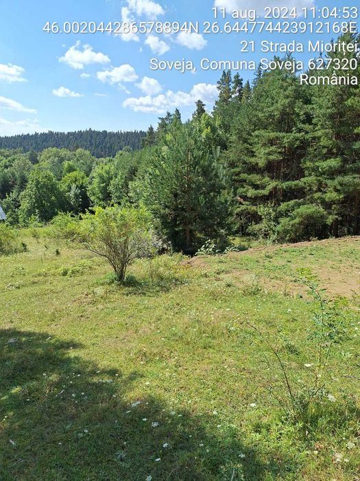 Teren amenajat pentru construire casa de vacanta Soveja Soveja • OLX.ro
