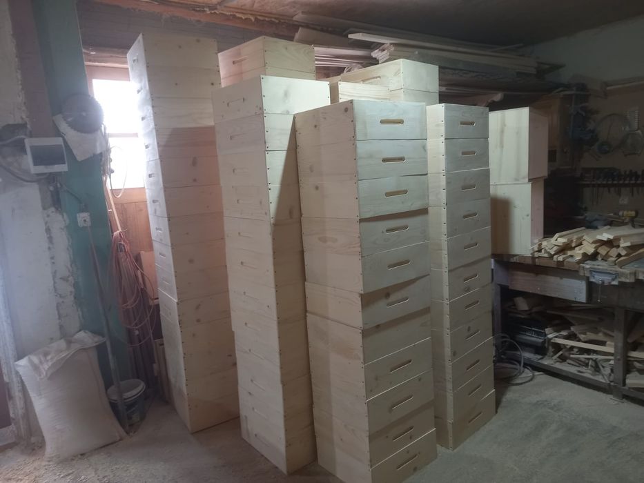 Stupi albine, stupi verticali, stupi orizontali, roinite! Botosani • OLX.ro