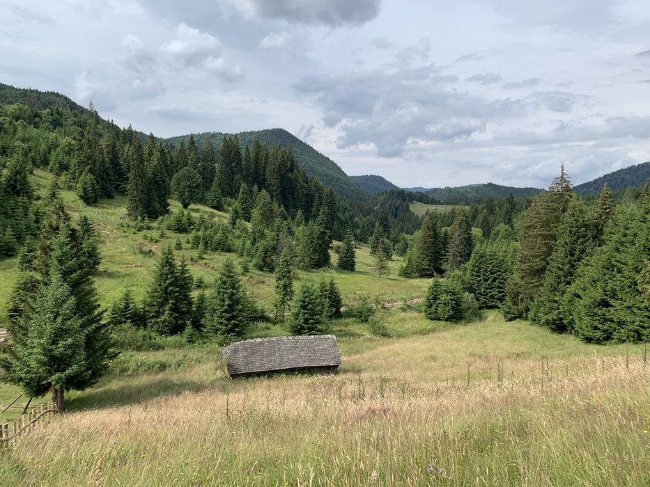 Teren in Fundata - Fundatica (Valea Cheii) Brasov • OLX.ro