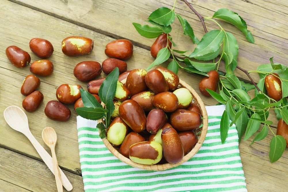 Curmal Chinezesc Ciumbrud • OLX.ro