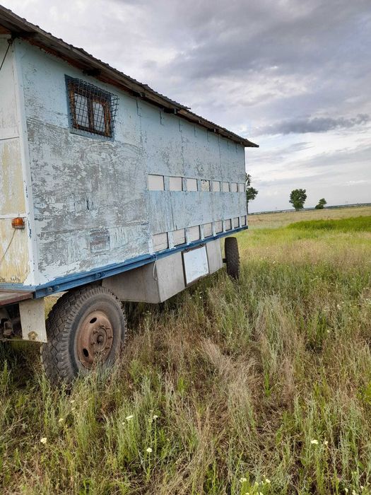 Pavilion apicol pentru 32 stupi Videle • OLX.ro