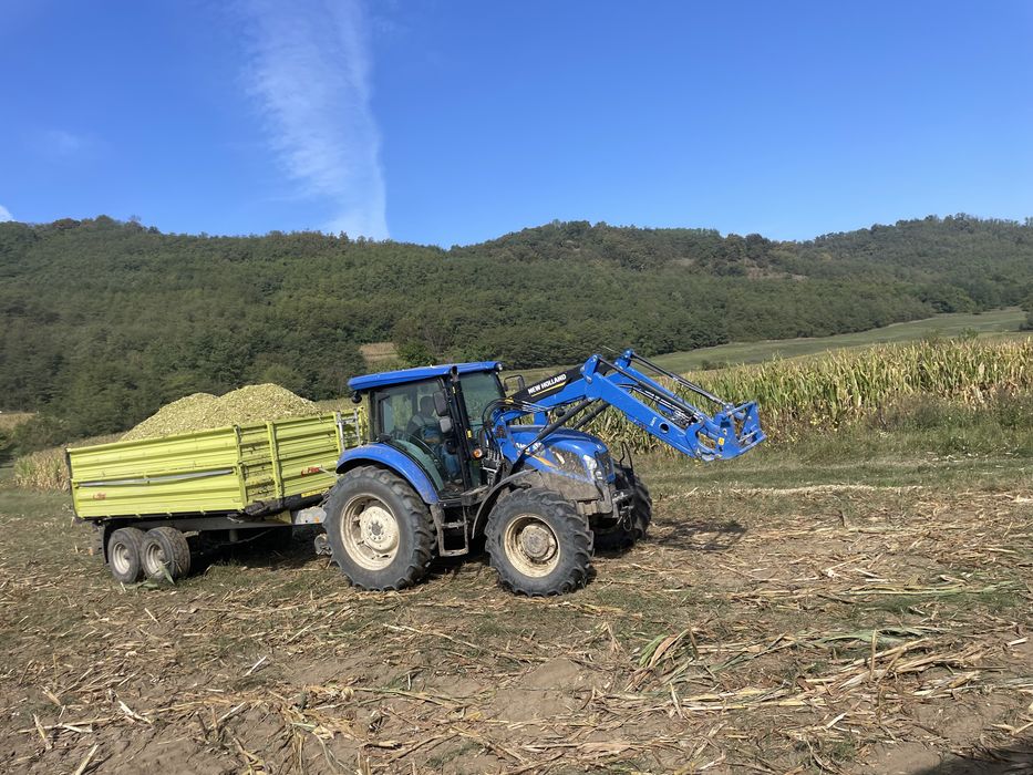 Porumb siloz recolta 2024 Axente Sever • OLX.ro