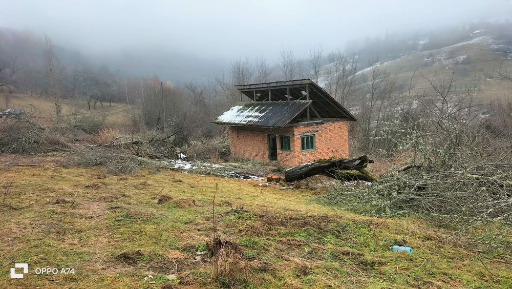 Casa de vânzare munții Apuseni Blajeni • OLX.ro
