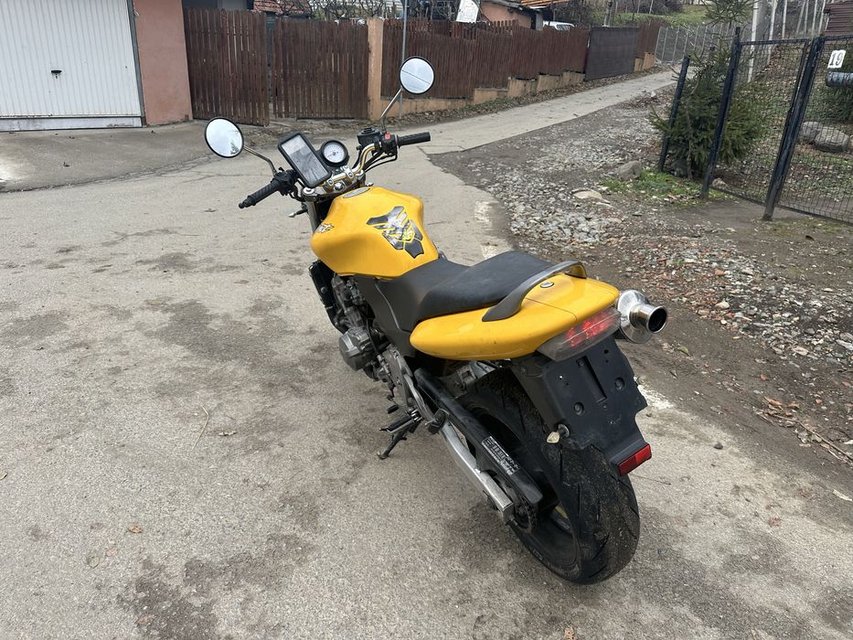 Honda hornet 600 48cp A2 LIMITAT LEGAL Sarmasag • OLX.ro