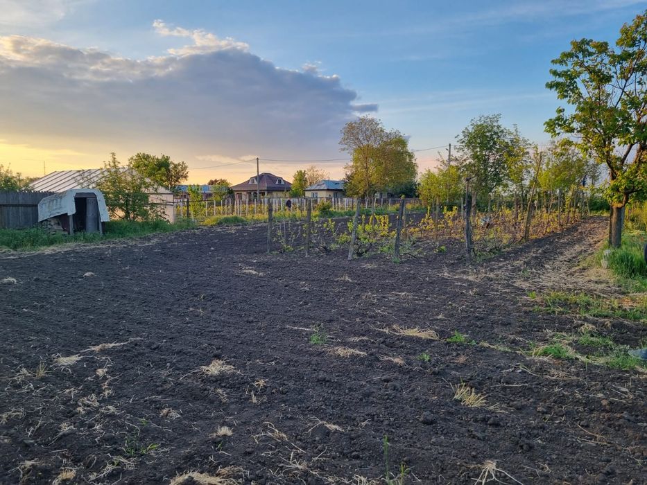 Casă de vânzare Hanu Conachi • OLX.ro