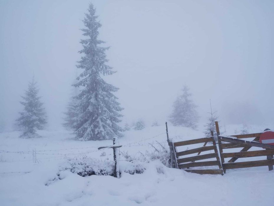 Teren pentru cabana Marisel Marisel • OLX.ro