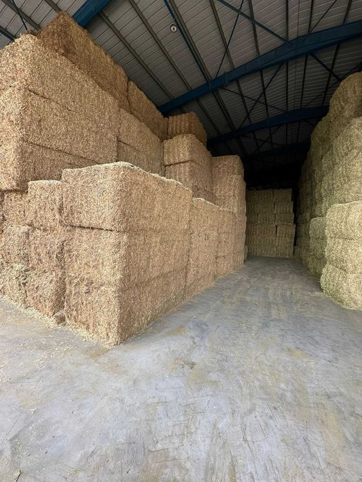 Baloti lucerna deshidratata / peleti / produse furajere Cataloi • OLX.ro