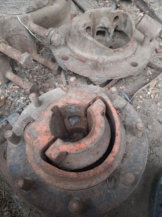 De vânzare butuci 650+Grapa stelata Stejari • OLX.ro