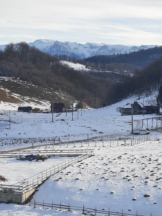 Terenuri frumoase la munte de vanzare Dambovicioara • OLX.ro