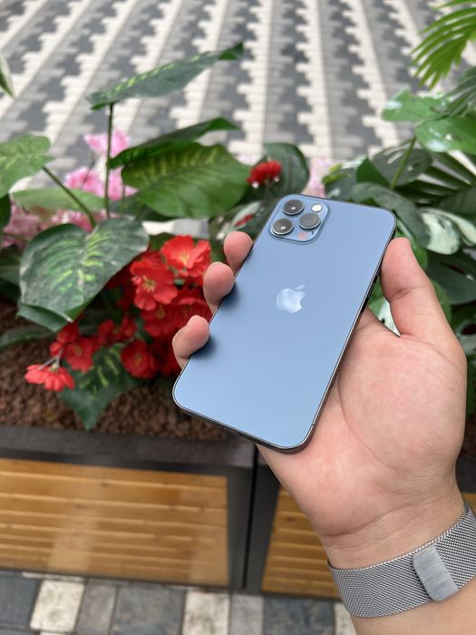 Iphone12pro iphone 12 pro: 150 у.е. - Мобильные телефоны Ташкент на Olx