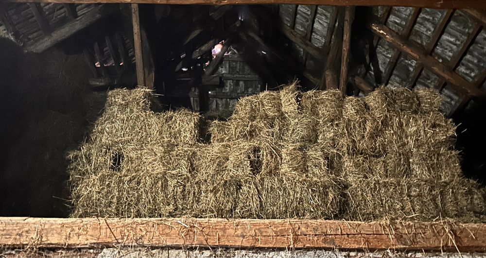 Vand baloti de fan de gradina din anul 2023 Intorsura Buzaului • OLX.ro