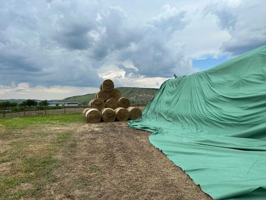 Baloti rotunzi lucerna 120 cm Vidrasau • OLX.ro