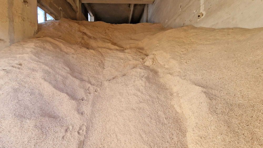 Rumegus Rasinoase Molid Sighisoara • OLX.ro