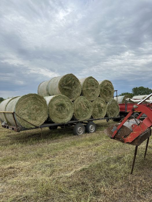 Baloti lucernă rotunzi pe plasă și dreptunghiulari Arcesti-Cot • OLX.ro