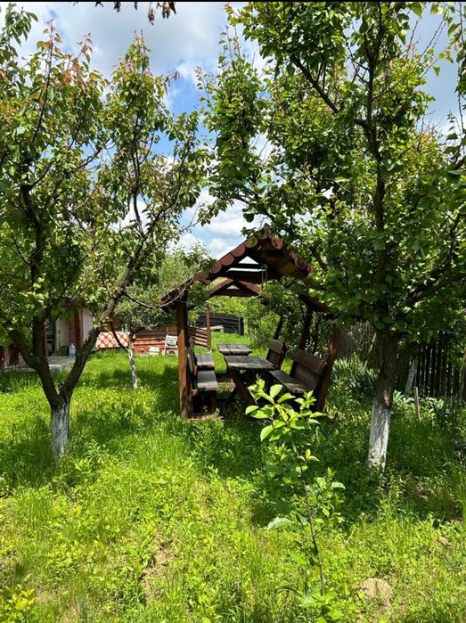 Vand cabana si teren intravilan Sard Sard • OLX.ro