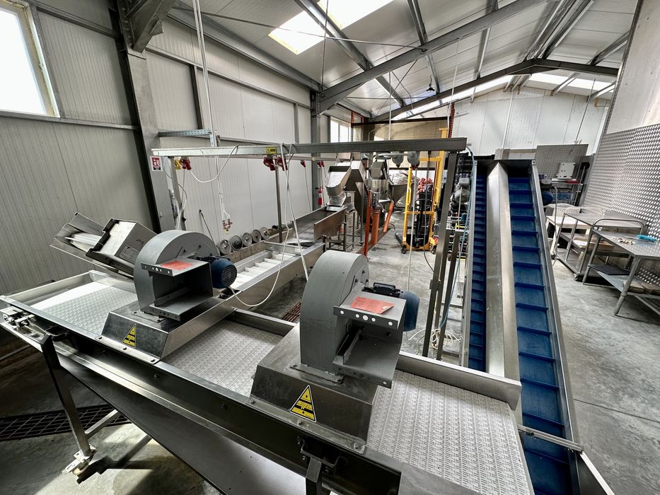 2019 Linie completa procesare cartofi Trainomaq Spania Suceava • OLX.ro