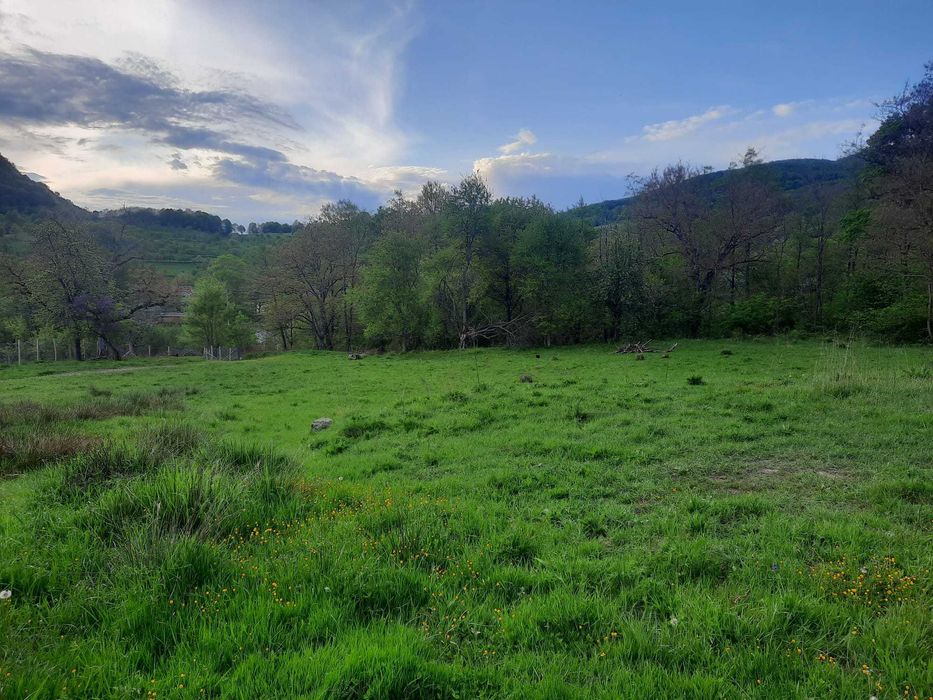 Teren intravilan Hartagani Baita Hunedoara Hartagani • OLX.ro