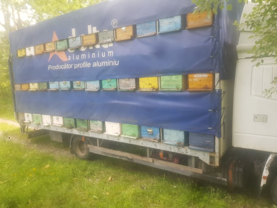 Stupină de vanzare Lalosu • OLX.ro
