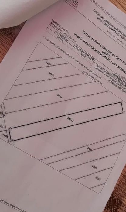 Teren Dunare Moldova Noua #intre Macesti si Pojejena# Moldova Noua • OLX.ro