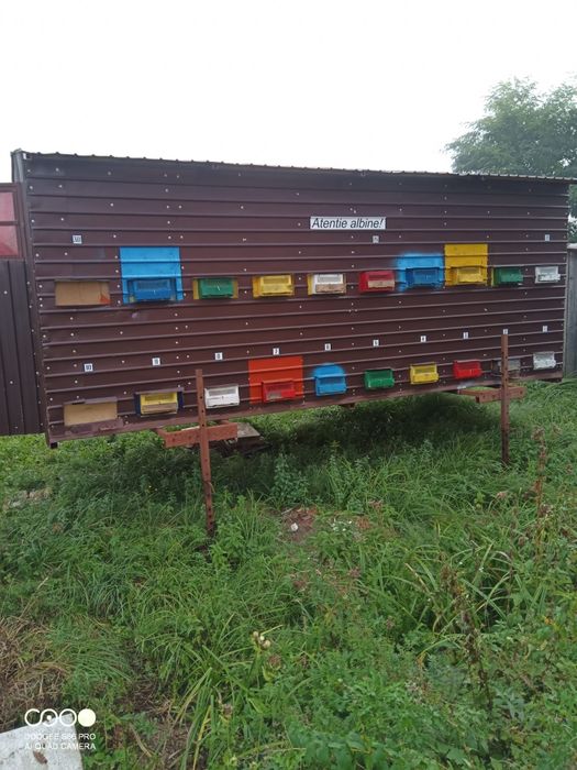 PAVILION APICOL de vanzare ' Anunturi ' OLX.ro