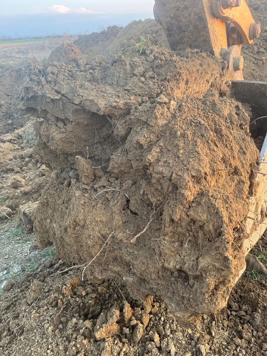 Pamant de grădină,Pamant nisipos,ISOP Satu Mare • OLX.ro