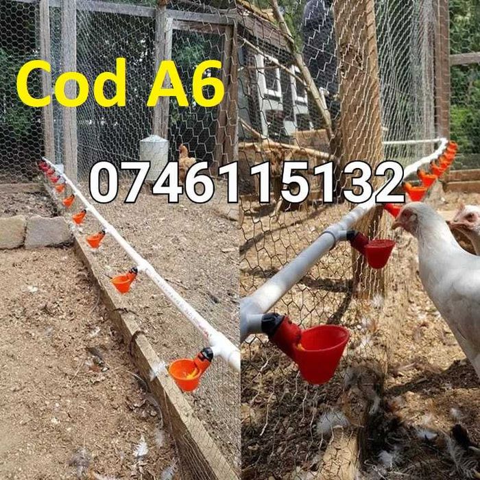 Gaini prepelițe porumbei rate gâște fazan pui- ADAPATORI AUTOMATE - A6 ...