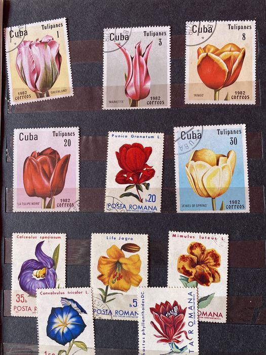 Timbre vechi de colectie Timisoara • OLX.ro