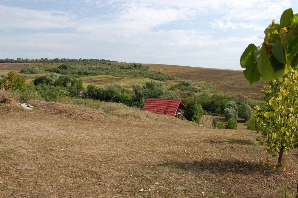 Vânzare teren in Chițoc Vaslui Chitoc • OLX.ro
