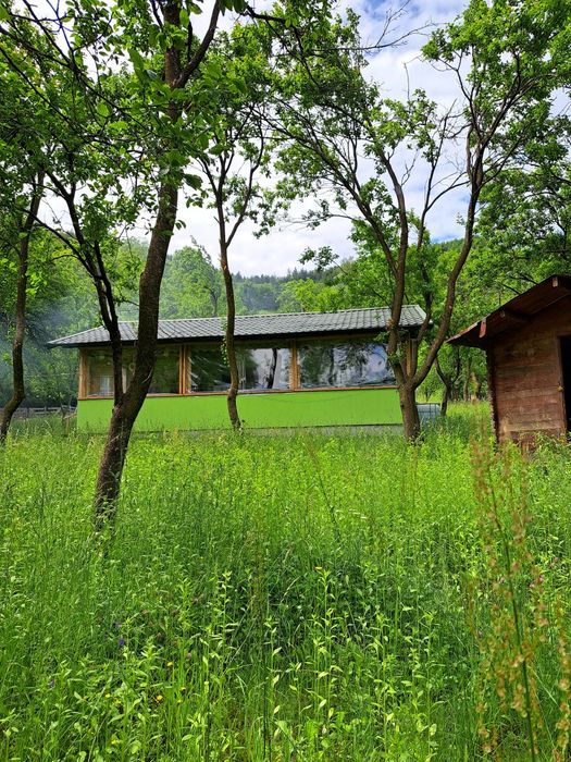 Vând casa jud.Prahova,sat Sotrile(baraj Paltin) ,teren 1154 Seciuri ...