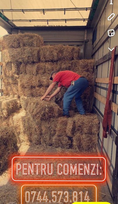 Baloti de lucerna.Fan.Paie.Coceni.Transp.incl.Rot si Drept Drobeta ...