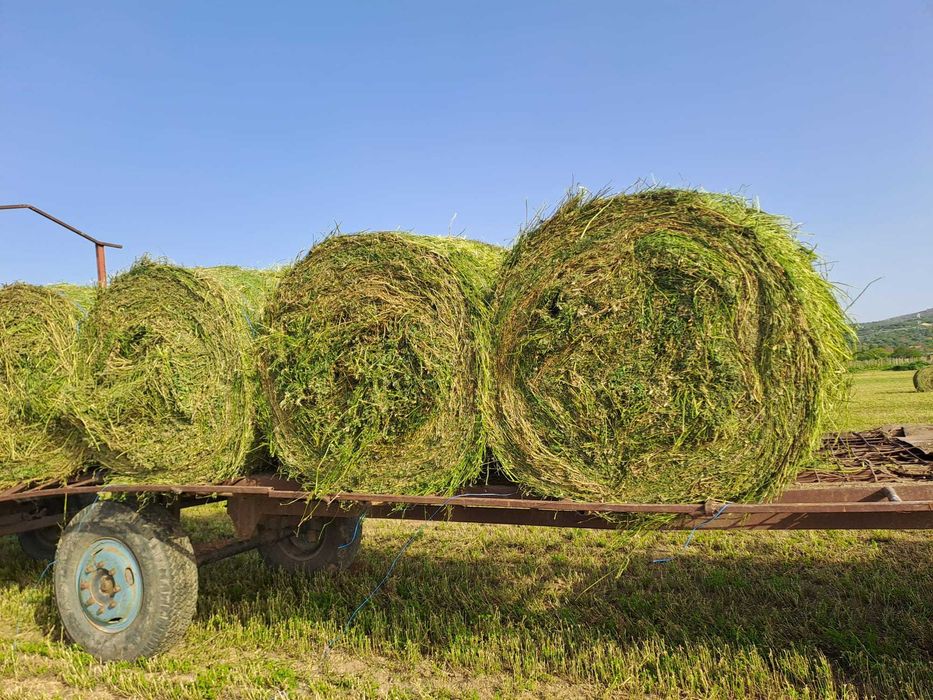 Livram baloti de fan.Lucerna.Paie.Transp.incl Oltenita • OLX.ro