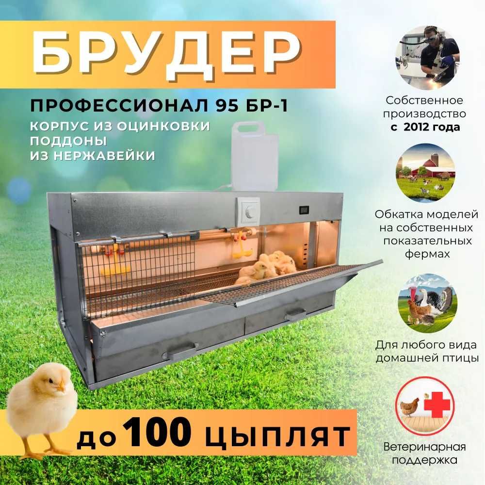 Продам брудер для цыплят: 85 000 тг. - Зоотовары Усть-Каменогорск на Olx
