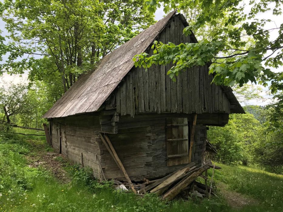 Vanzare casa la munte cu teren generos Scarisoara • OLX.ro