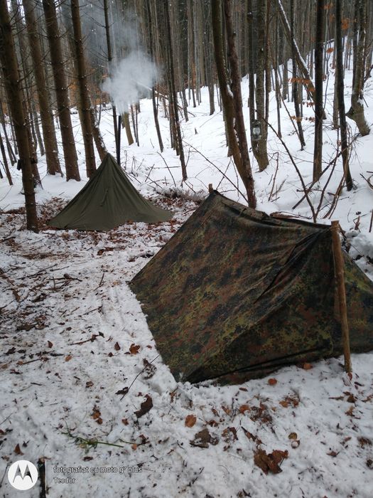 Cort militar German Campina • OLX.ro