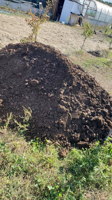 Mranita Solarii,balegar invechit,ingrasamant bio,fertilizanți legume ...