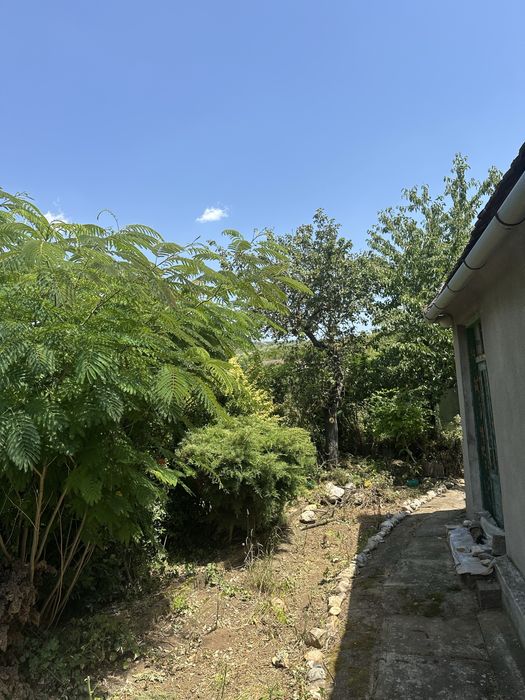 Vand casa in comuna Ghioroc jud Arad Arad • OLX.ro