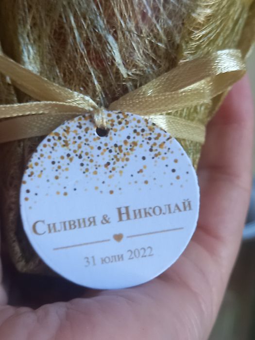 Сукулентни растения. Сокуленти. гр. Пловдив Христо Смирненски • OLX.bg