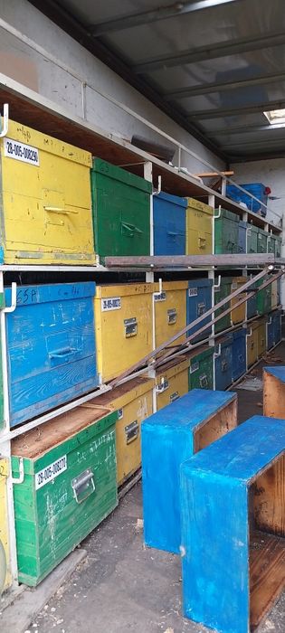 Vand pavilion cu stupi! Negrenii de Campie • OLX.ro