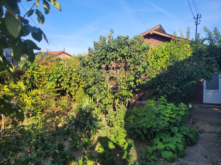 Casa de vânzare în Jilava Jilava • OLX.ro