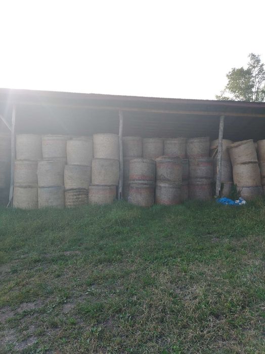 Baloti fân rotunzi Rustior • OLX.ro